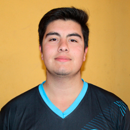 Colegio Manquemávida